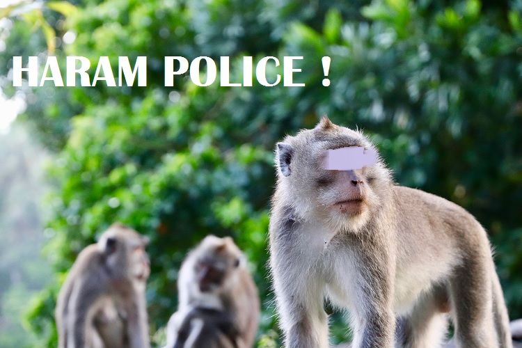 Masjid Ash-Shura | Haram Police?